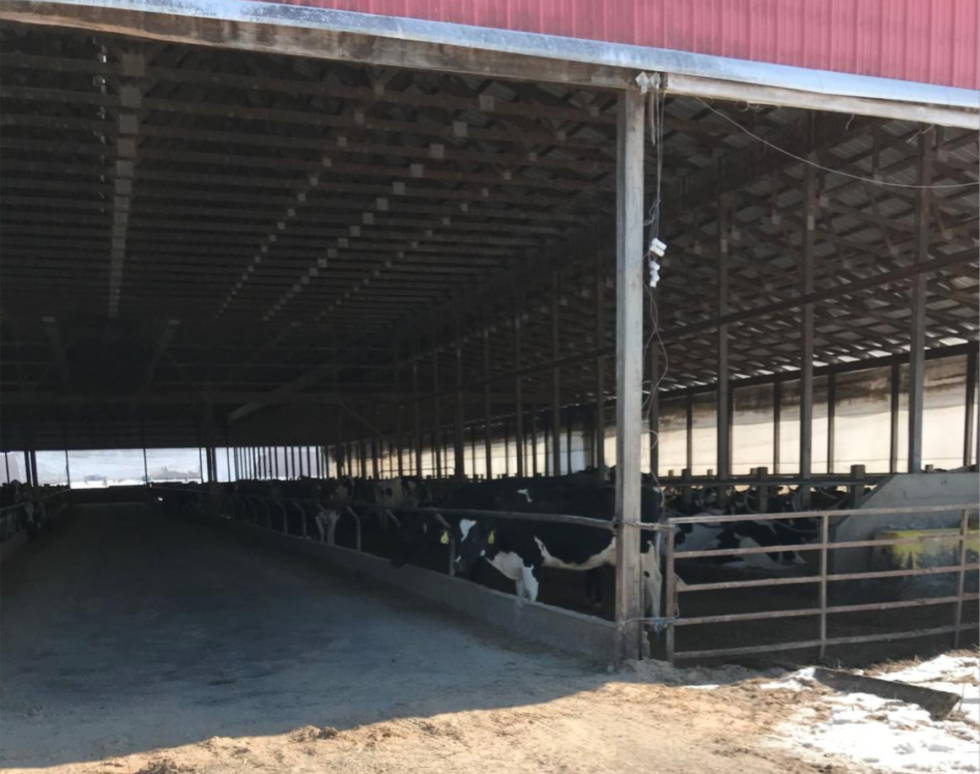 AN IN-DEPTH LOOK AT CONCENTRATED ANIMAL FEEDING OPERATIONS - VegMichigan