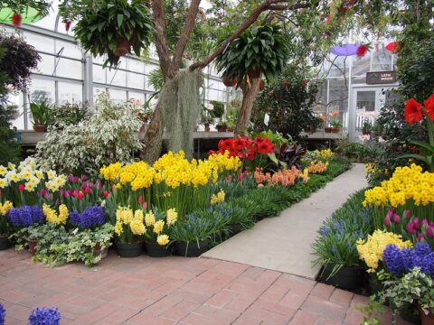 THE BEST GARDENS & FLOWER FIELDS IN MICHIGAN - VegMichigan