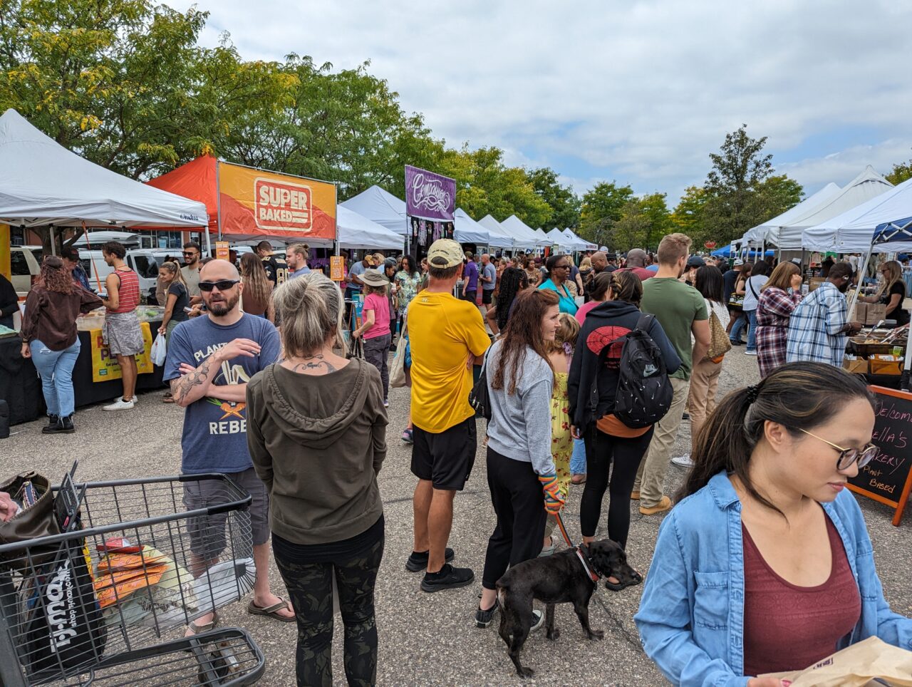 Fall VegFest - VegMichigan