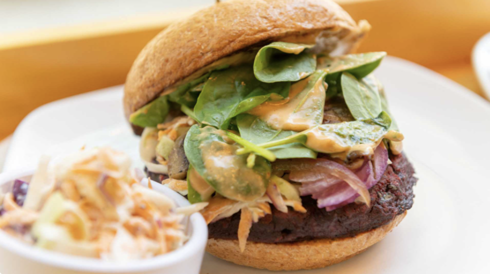 ANN ARBOR LUNCH MEETUP AT FIRST BITE - VegMichigan